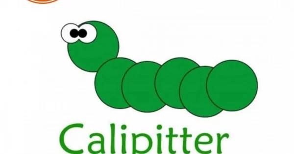 Calipitter Chow - MP-1